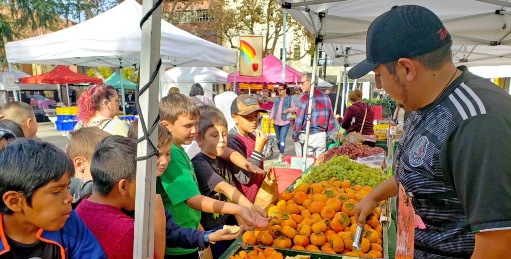 California Food Education – Connecting Consumers to Knowledge and Farms ...